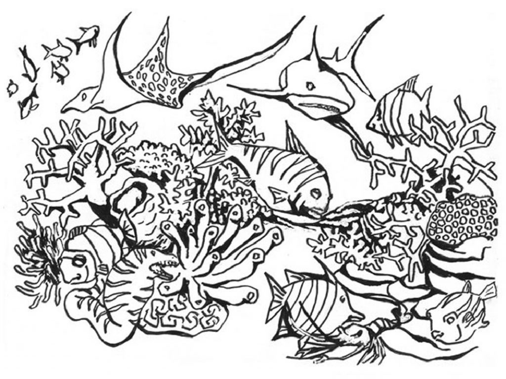 Beautiful Color Pages of Fish Printable | 101 Activity