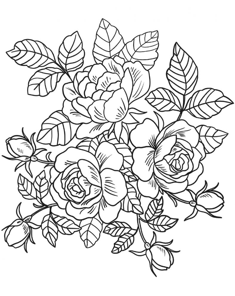 Cute and Beautiful Coloring Pages Printable | 101 Activity