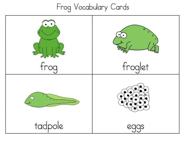 Fun Frog Activities for Kids | 101 Activity