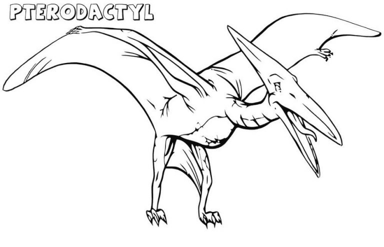 Pterodactyl Coloring Pages to Color | 101 Activity
